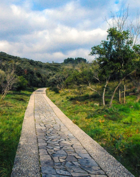 Road Map for Your Life, Creating a Personal Development Plan | Little ...